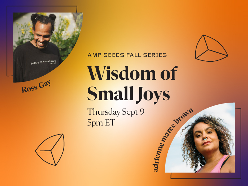 Wisdom of Small Joys - Allied Media Projects