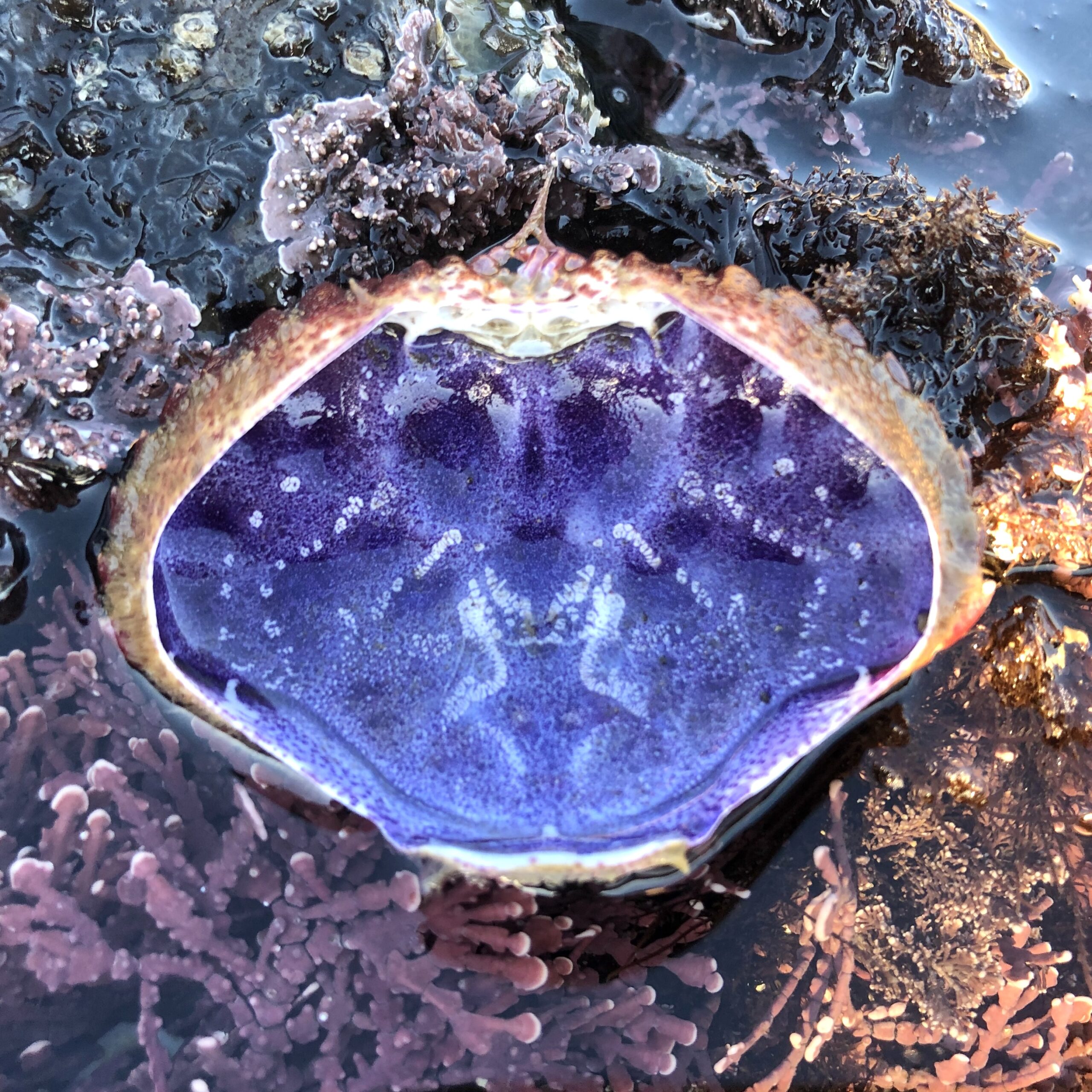 AWE / Another World Exists - Allied Media Projects