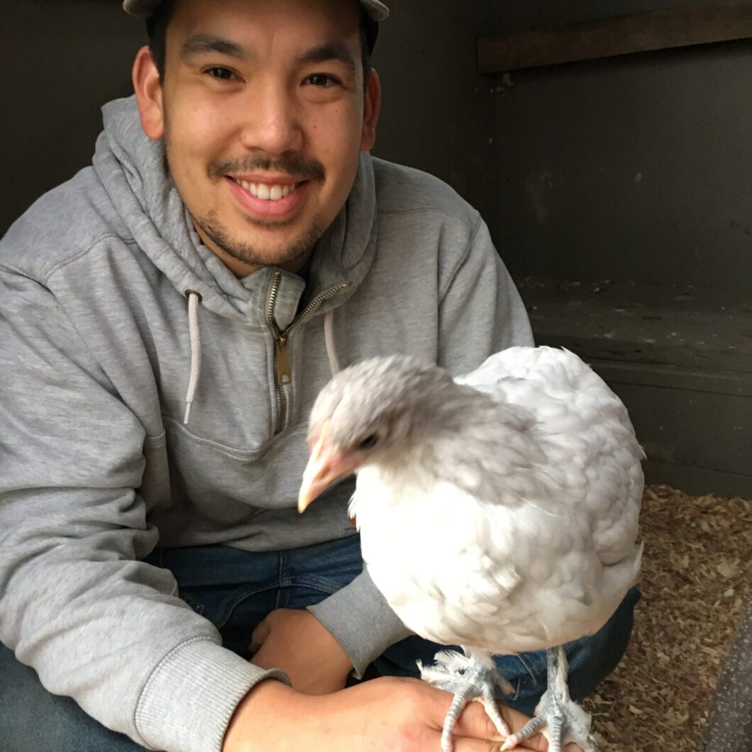 The LOVE Building - Allied Media Projects